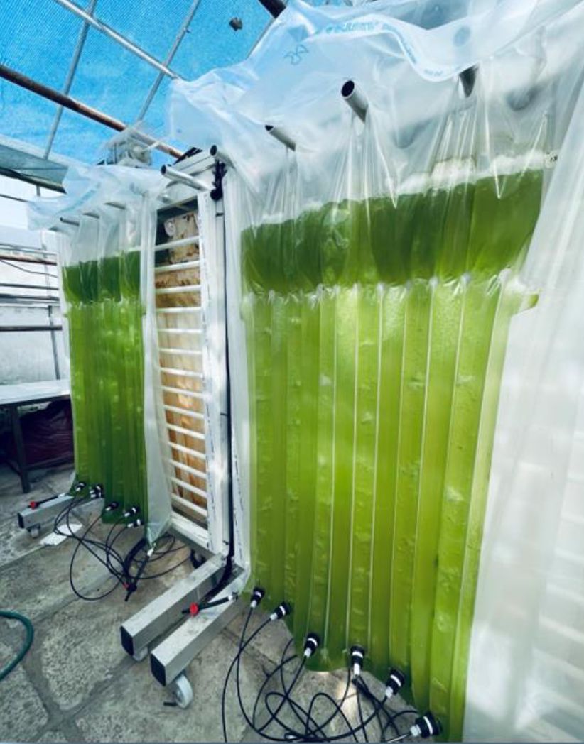 AQUAPACK: Sustainable packaging solutions for food and cosmetics based ...